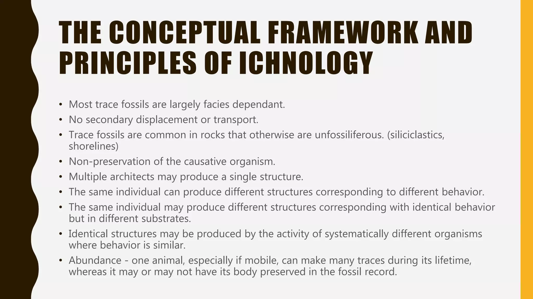 Ichnology,classification & significance of trace fossil | PPTX