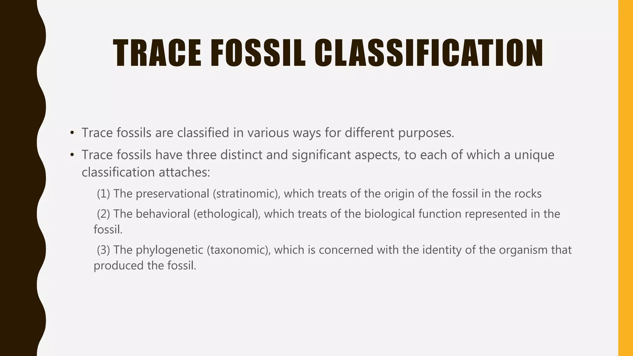 Ichnology,classification & significance of trace fossil | PPTX