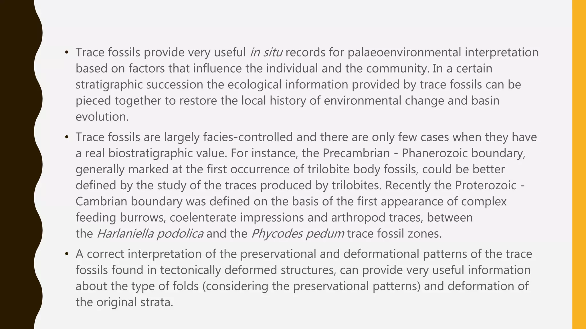 Ichnology,classification & significance of trace fossil | PPTX