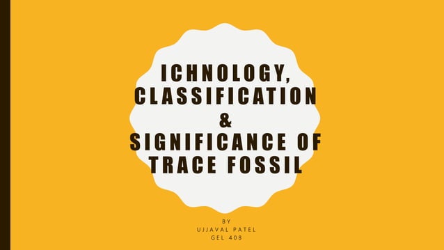 Ichnology,classification & significance of trace fossil | PPTX