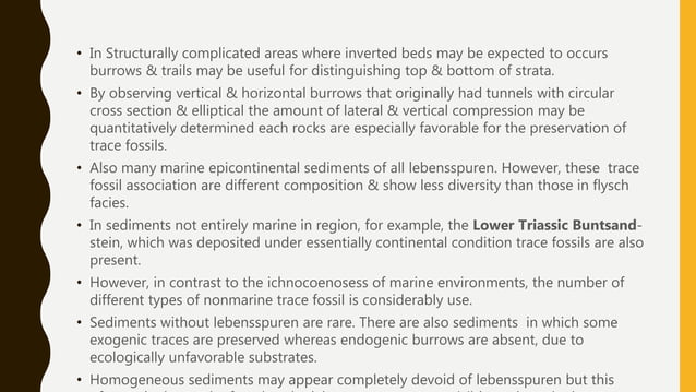 Ichnology,classification & significance of trace fossil | PPTX