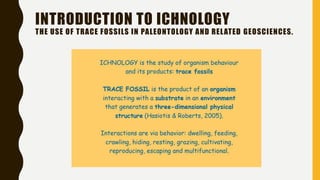 Ichnology,classification & significance of trace fossil | PPTX