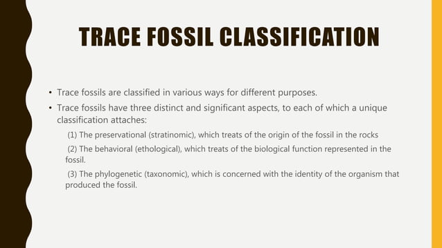 Ichnology,classification & significance of trace fossil | PPTX