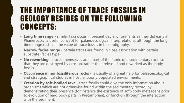 Ichnology,classification & significance of trace fossil | PPTX
