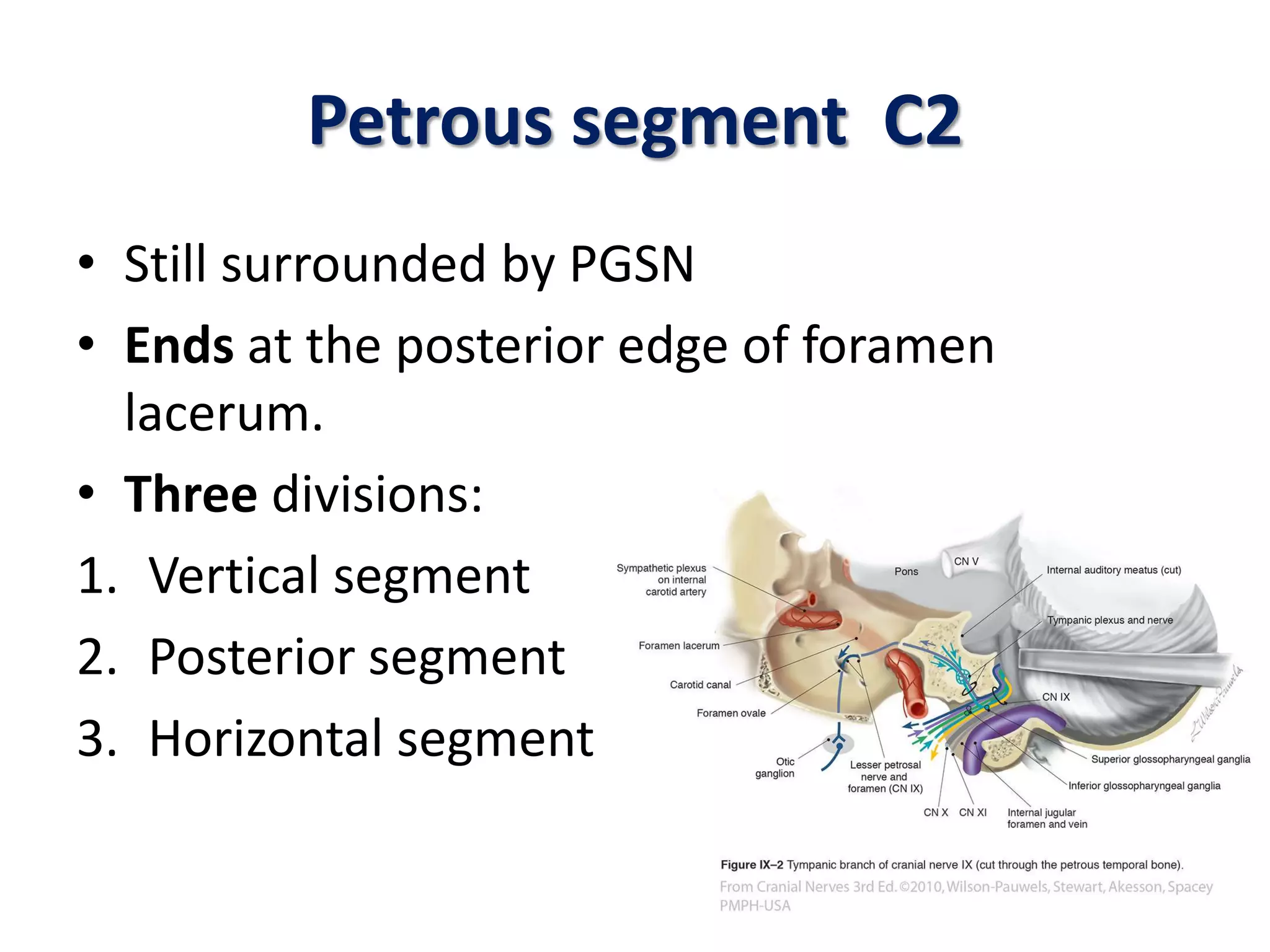 ICA anatomy | PPTX