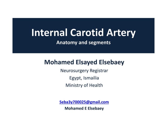 ICA anatomy | PPT