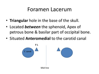 ICA anatomy | PPTX