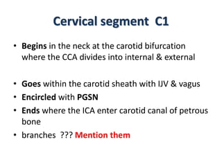 ICA anatomy | PPTX