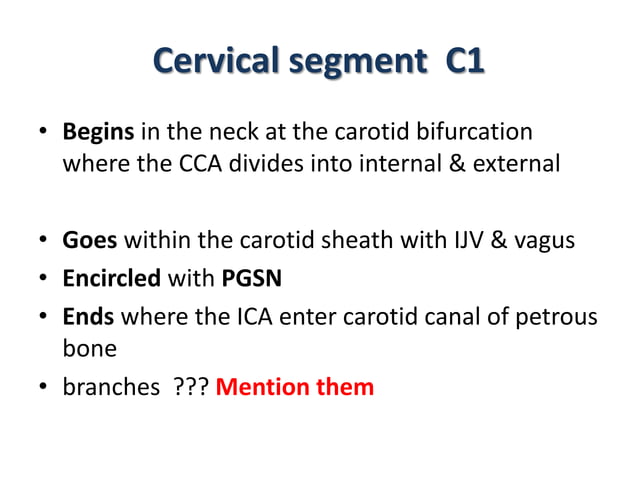 ICA anatomy | PPT