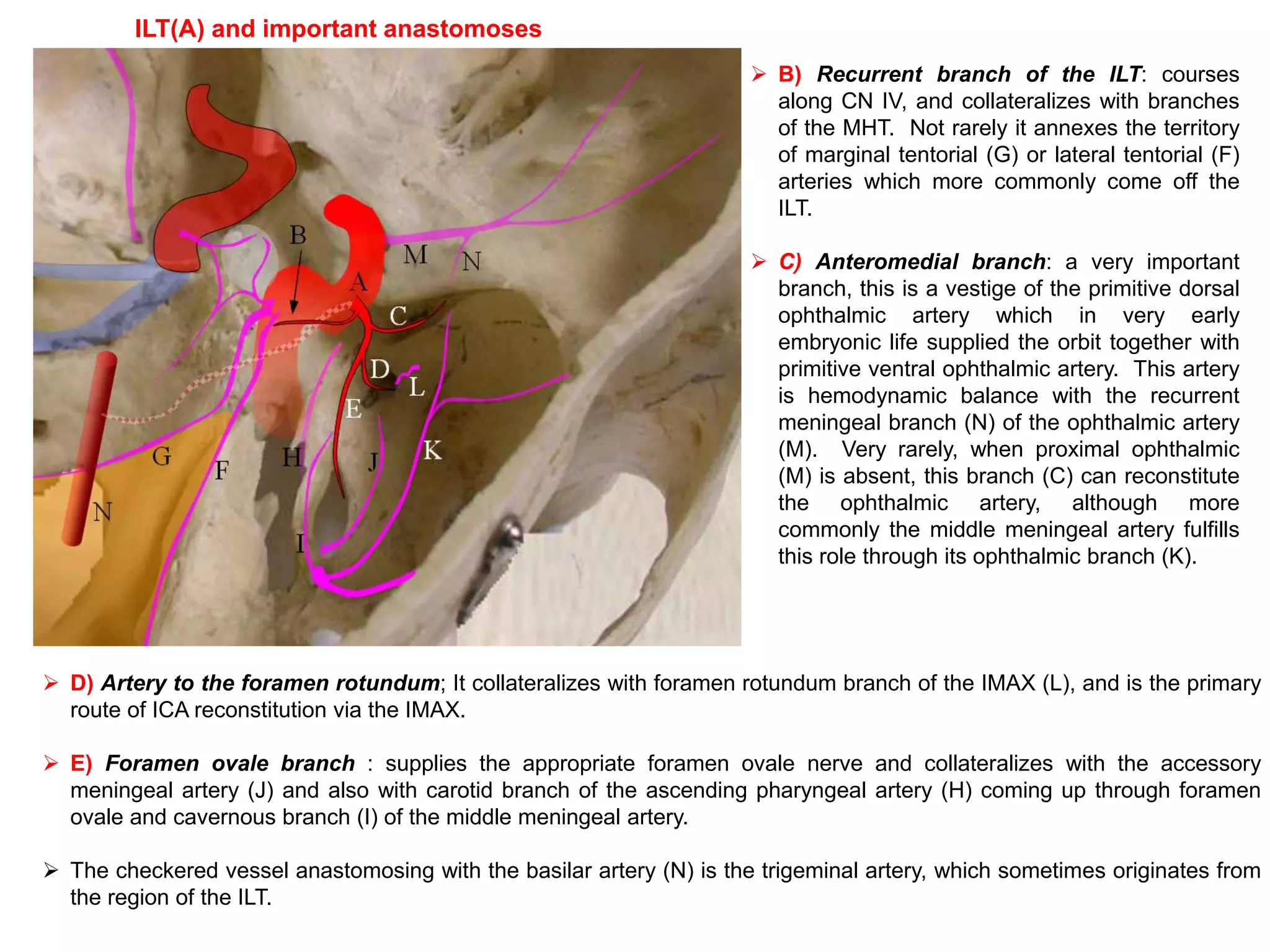 Neuroangio Internal carotid artery and its endovascular aspect | PPTX