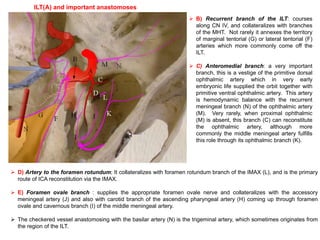 Neuroangio Internal carotid artery and its endovascular aspect | PPTX