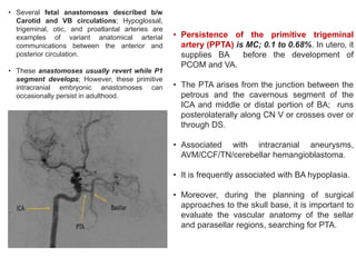 Neuroangio Internal carotid artery and its endovascular aspect | PPTX