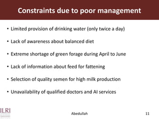 Dairy value chains in Pakistan: Stakeholders’ involvement and ...