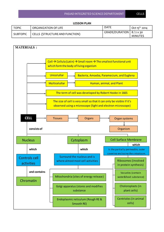 lesson plan skeletal system peer teaching | DOCX | Biological Sciences ...