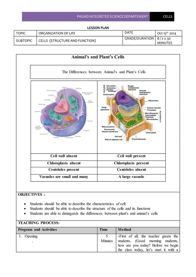 lesson plan skeletal system peer teaching | DOCX | Biological Sciences ...