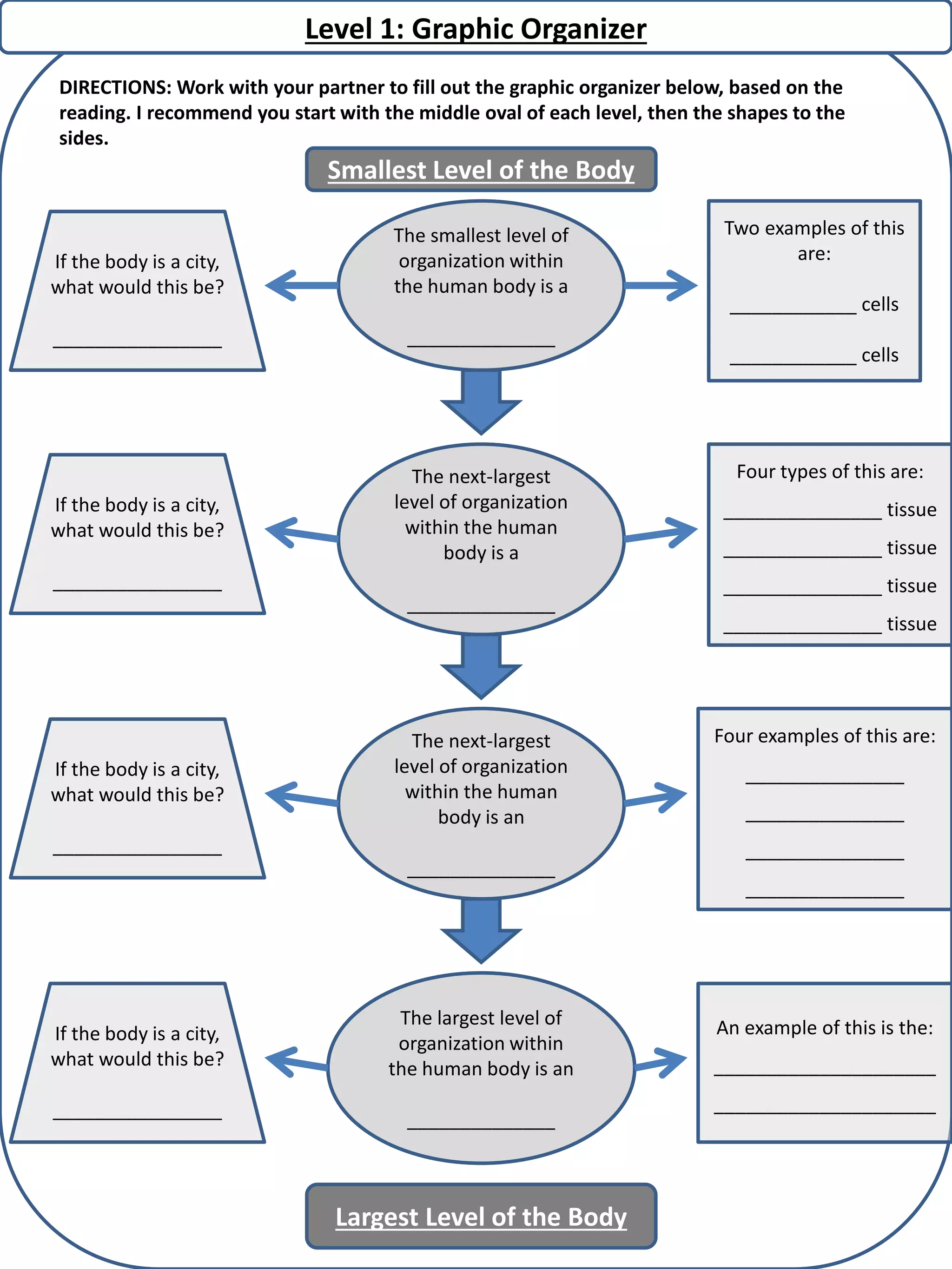 Levels of Organization | PDF