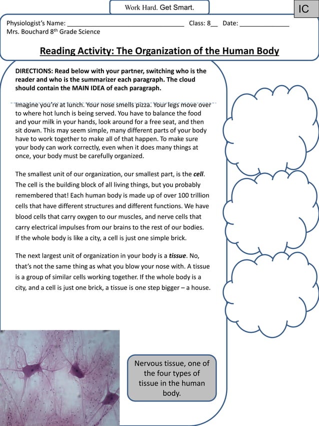 Levels of Organization | PDF