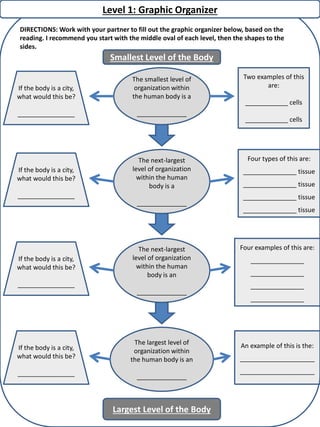 Levels of Organization | PDF