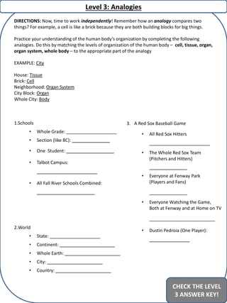 Levels of Organization | PDF