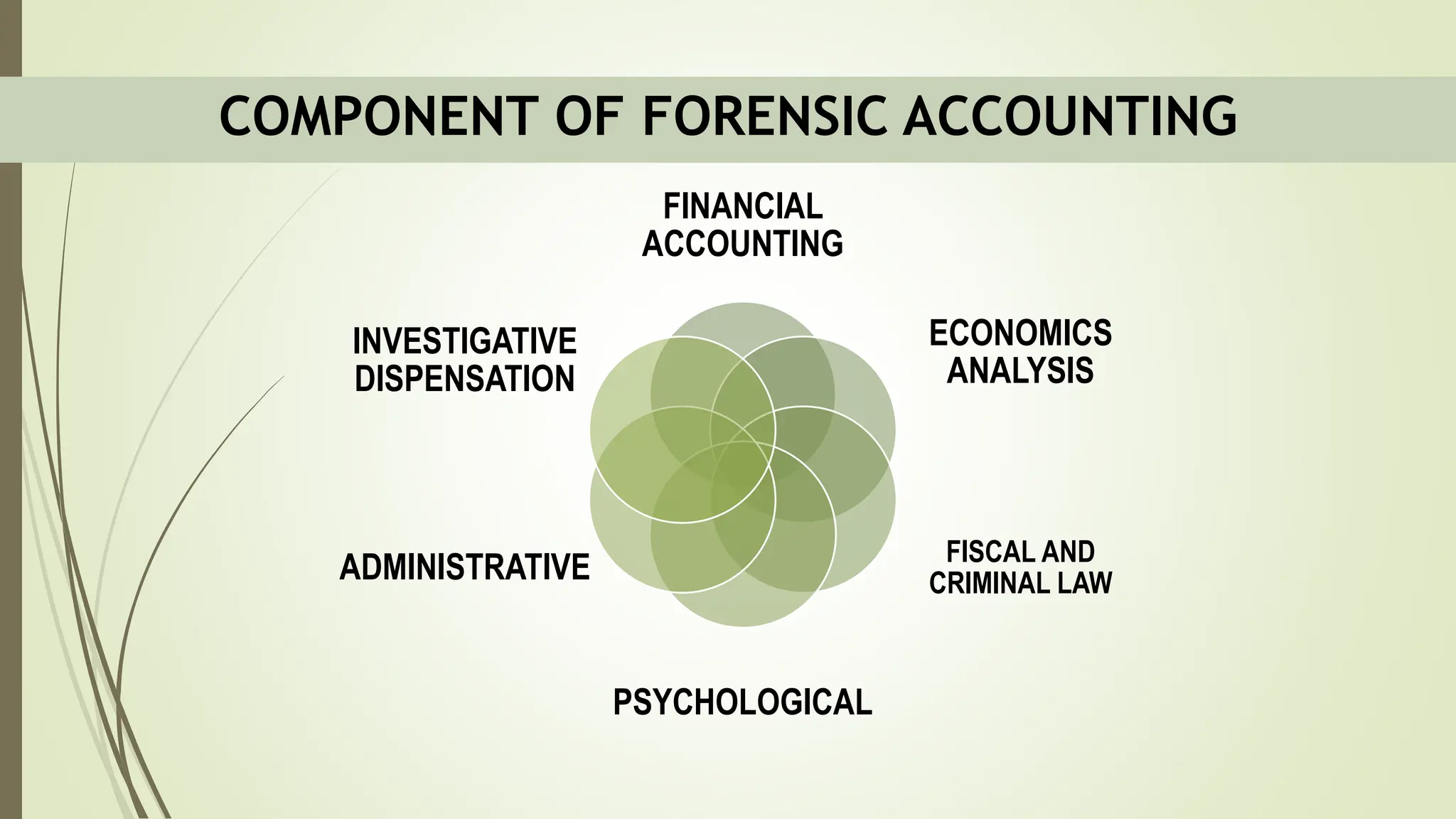 Forensic Accounting, Techniques and Set Skills - Prof Godwin Oyedokun.pptx