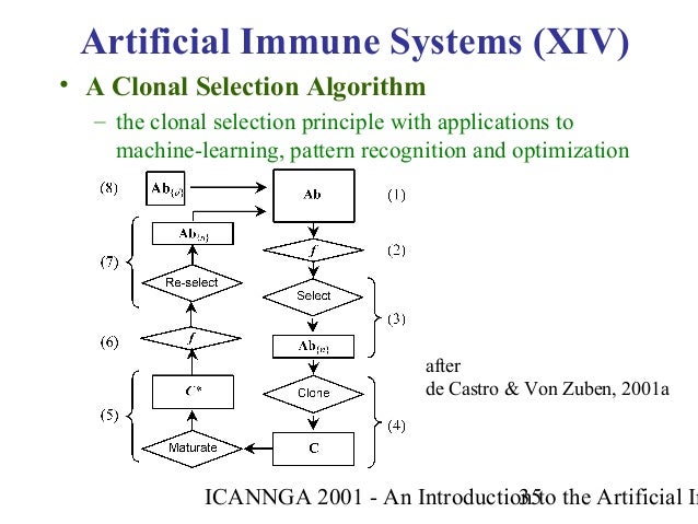 2001 An Introduction To Artificial Immune Systems