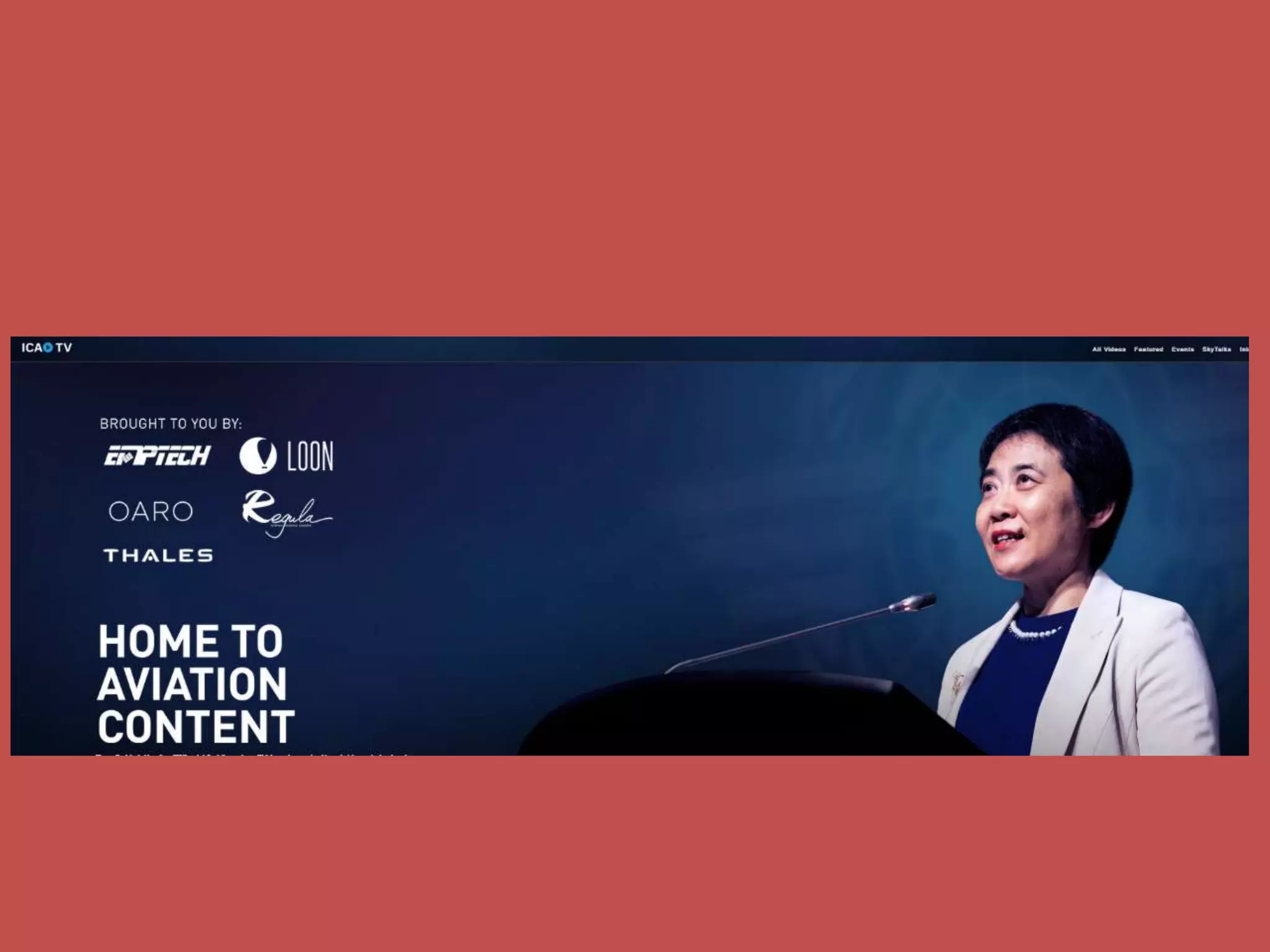 International Civil Aviation Organisation | PPTX