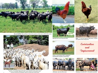 About ICAR and its achievements recent.pptx | Agriculture | Industries