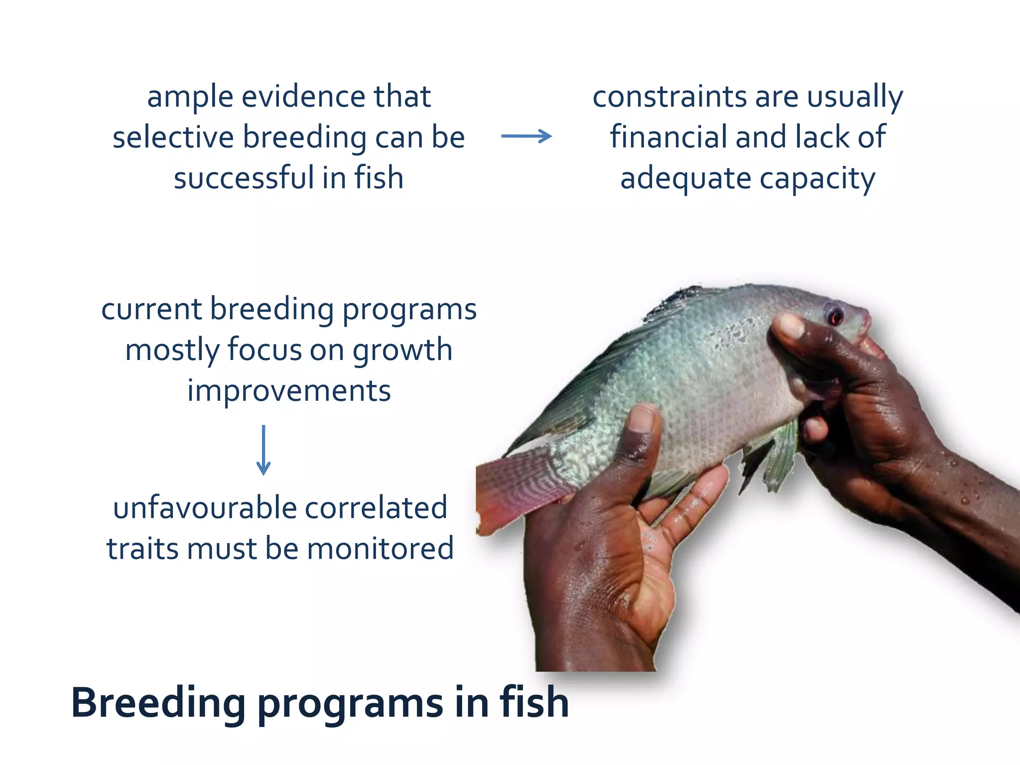 Selective breeding in fish and conservation of genetic resources for ...