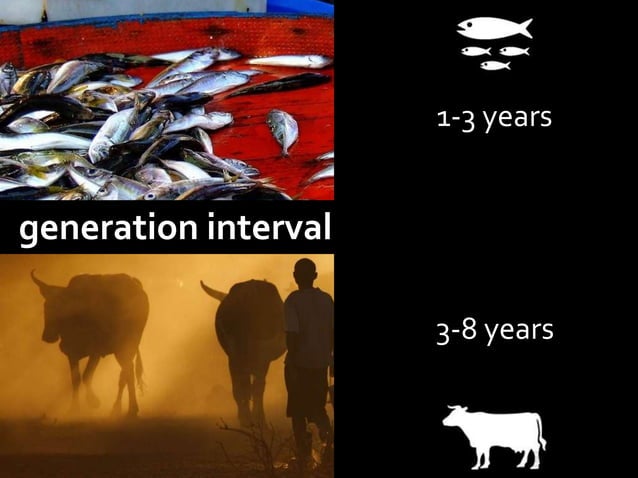 Selective breeding in fish and conservation of genetic resources for ...