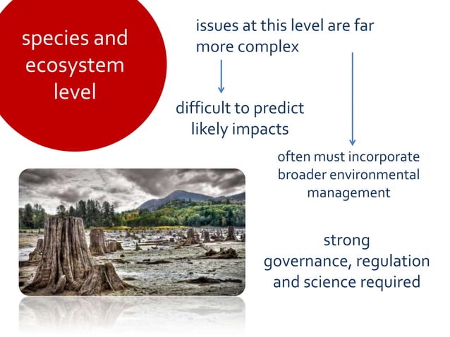 Selective breeding in fish and conservation of genetic resources for ...