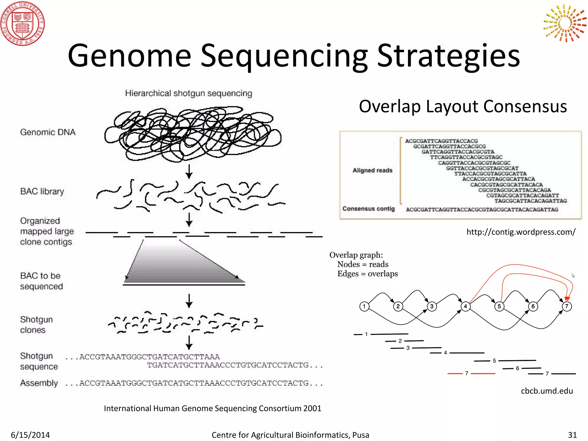 Sequencing, Genome Assembly and the SGN Platform | PDF