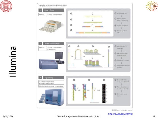 Sequencing, Genome Assembly and the SGN Platform | PPT