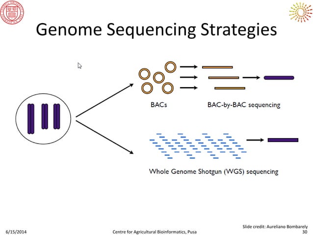 Sequencing, Genome Assembly and the SGN Platform | PPT