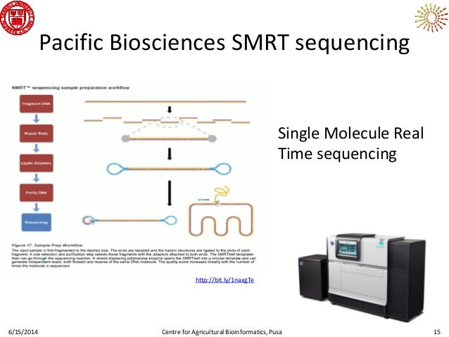 Sequencing, Genome Assembly and the SGN Platform
