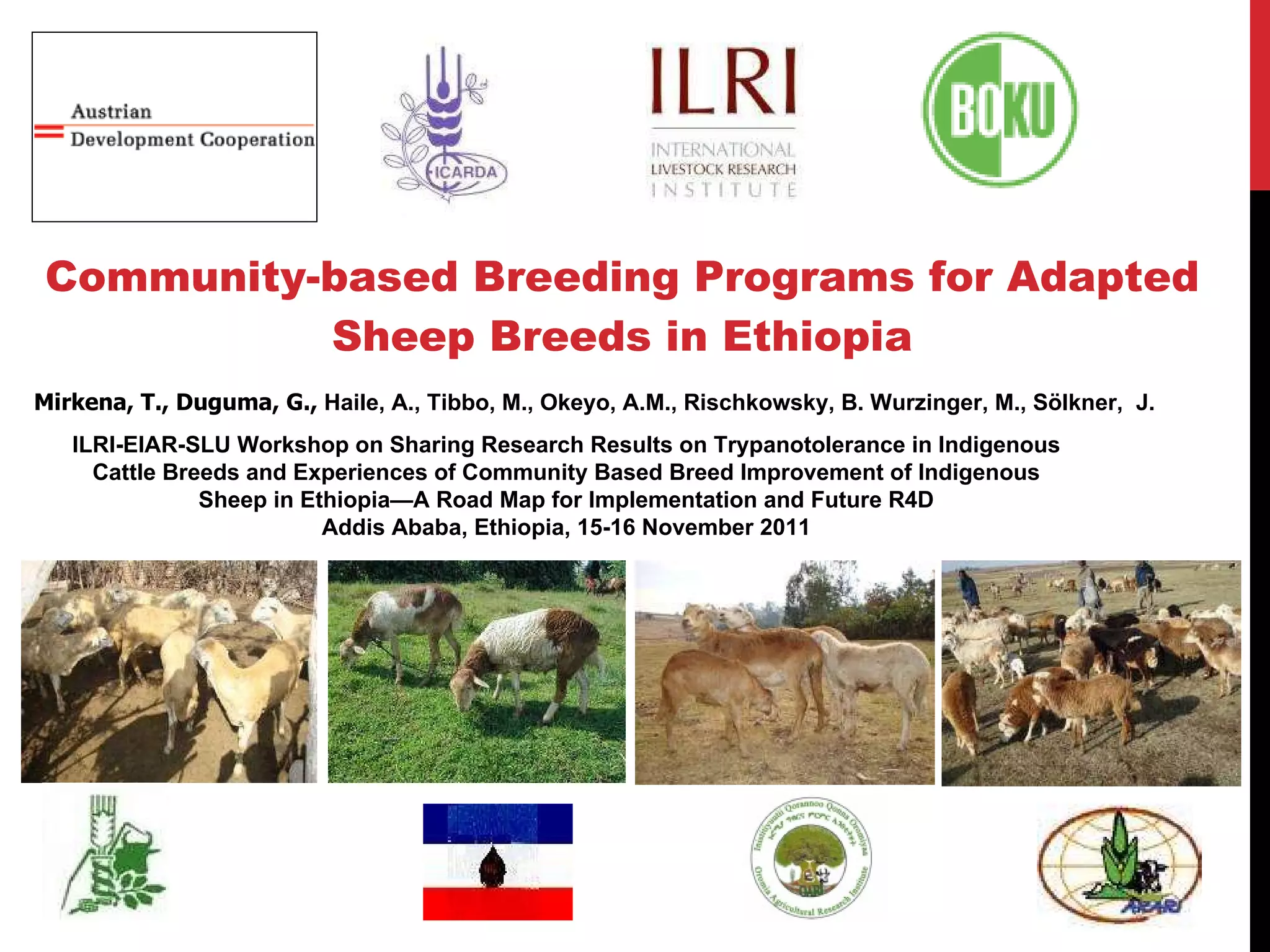 Community-based breeding programs for adapted sheep breeds in Ethiopia ...