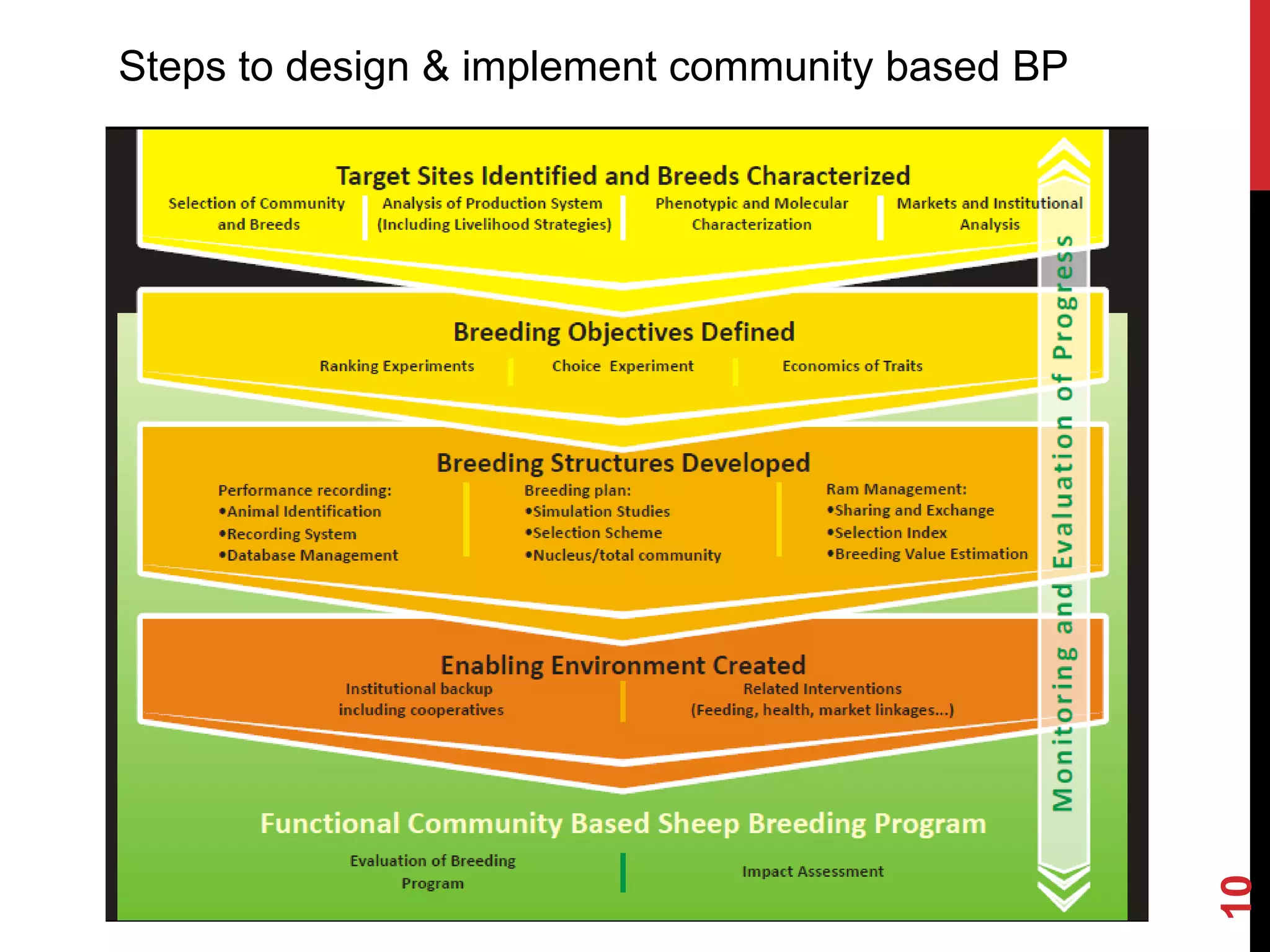 Community-based breeding programs for adapted sheep breeds in Ethiopia ...