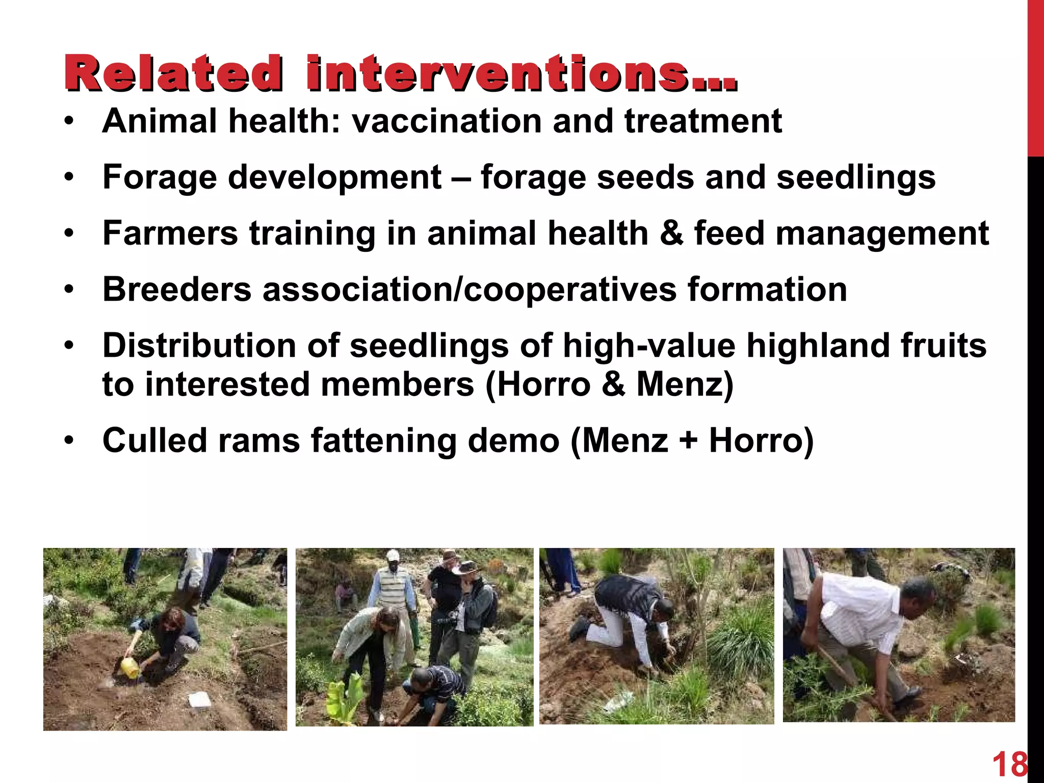Community-based breeding programs for adapted sheep breeds in Ethiopia ...