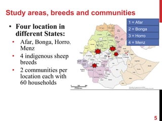 Community-based breeding programs for adapted sheep breeds in Ethiopia ...