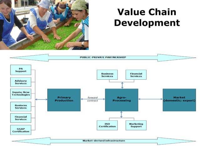 Value Chains, Markets and Diagnostics,Taghrid Lahham and Dr. Fathia ...