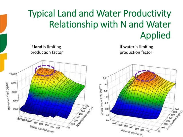 Improving Agricultural Water Productivity in the Indira Gandhi Nahar ...