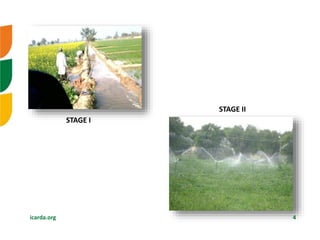 Improving Agricultural Water Productivity in the Indira Gandhi Nahar ...