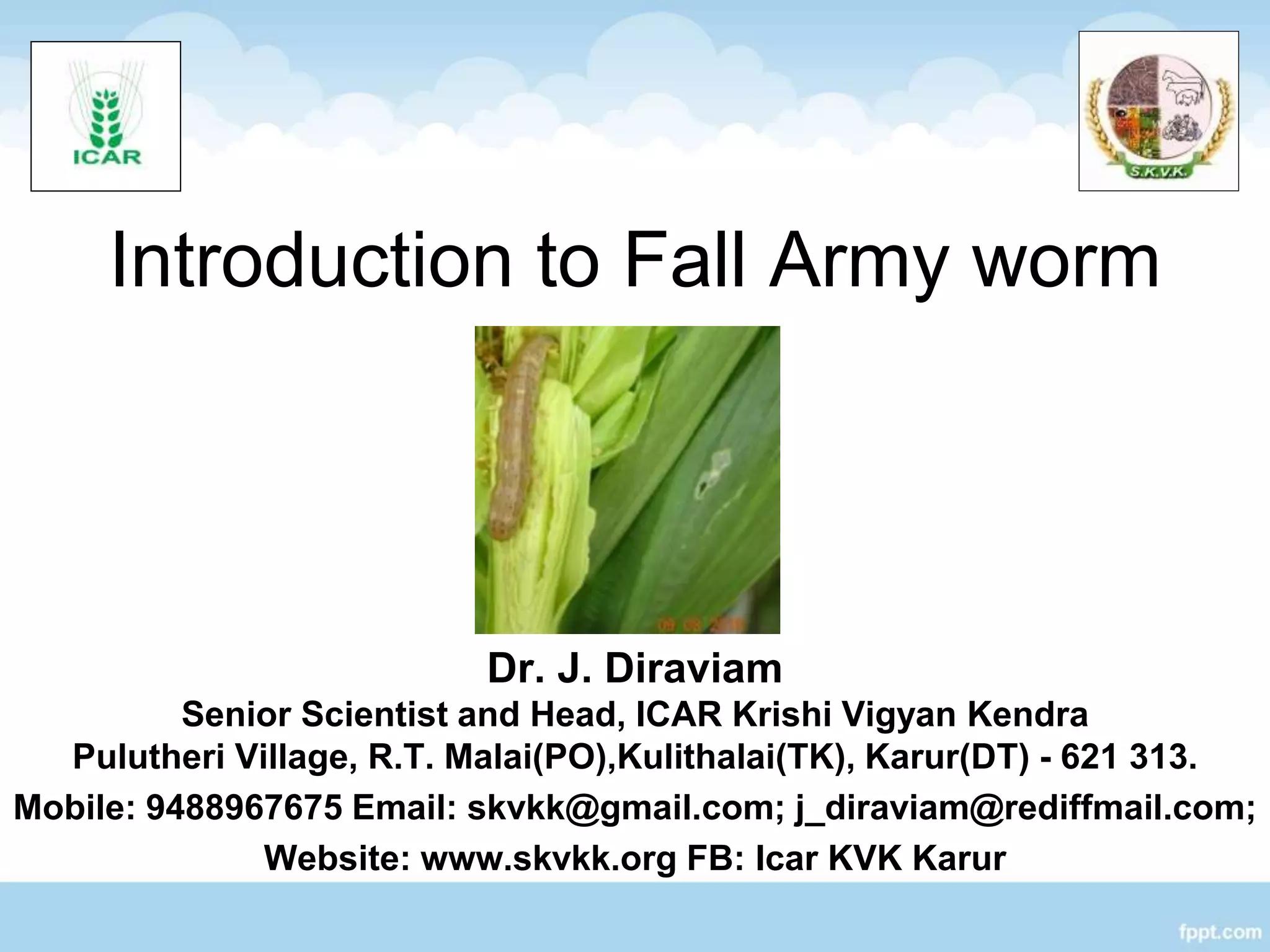 Icar kvk karur introduction to fall army worm | PPT
