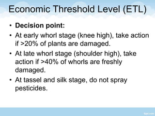 Icar kvk karur introduction to fall army worm | PPT