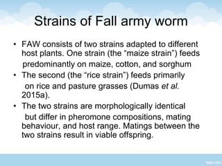 Icar kvk karur introduction to fall army worm | PPT