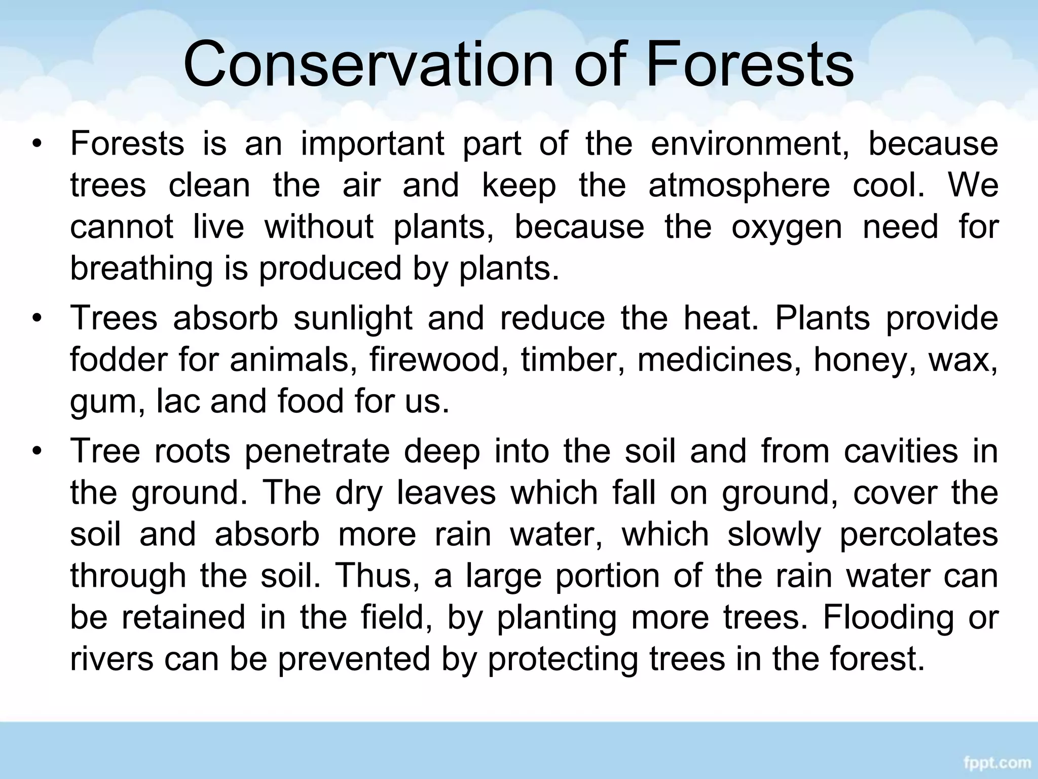 Role of Students in Nature Conservation | PPTX
