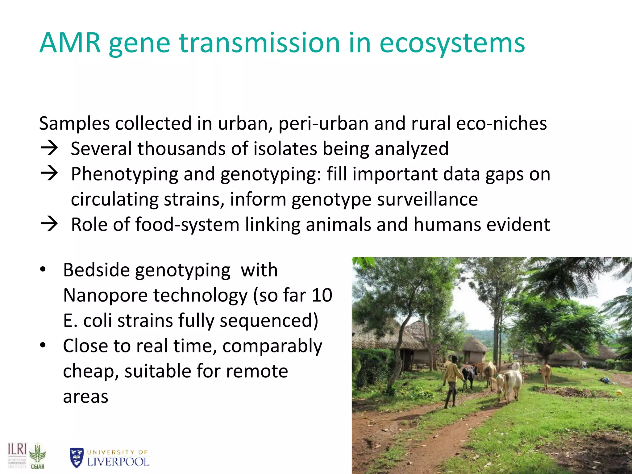 The need for solution driven AMR research—A One Health perspective | PDF