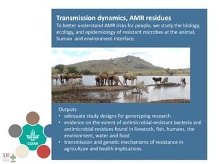The need for solution driven AMR research—A One Health perspective | PDF
