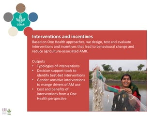 The need for solution driven AMR research—A One Health perspective | PDF