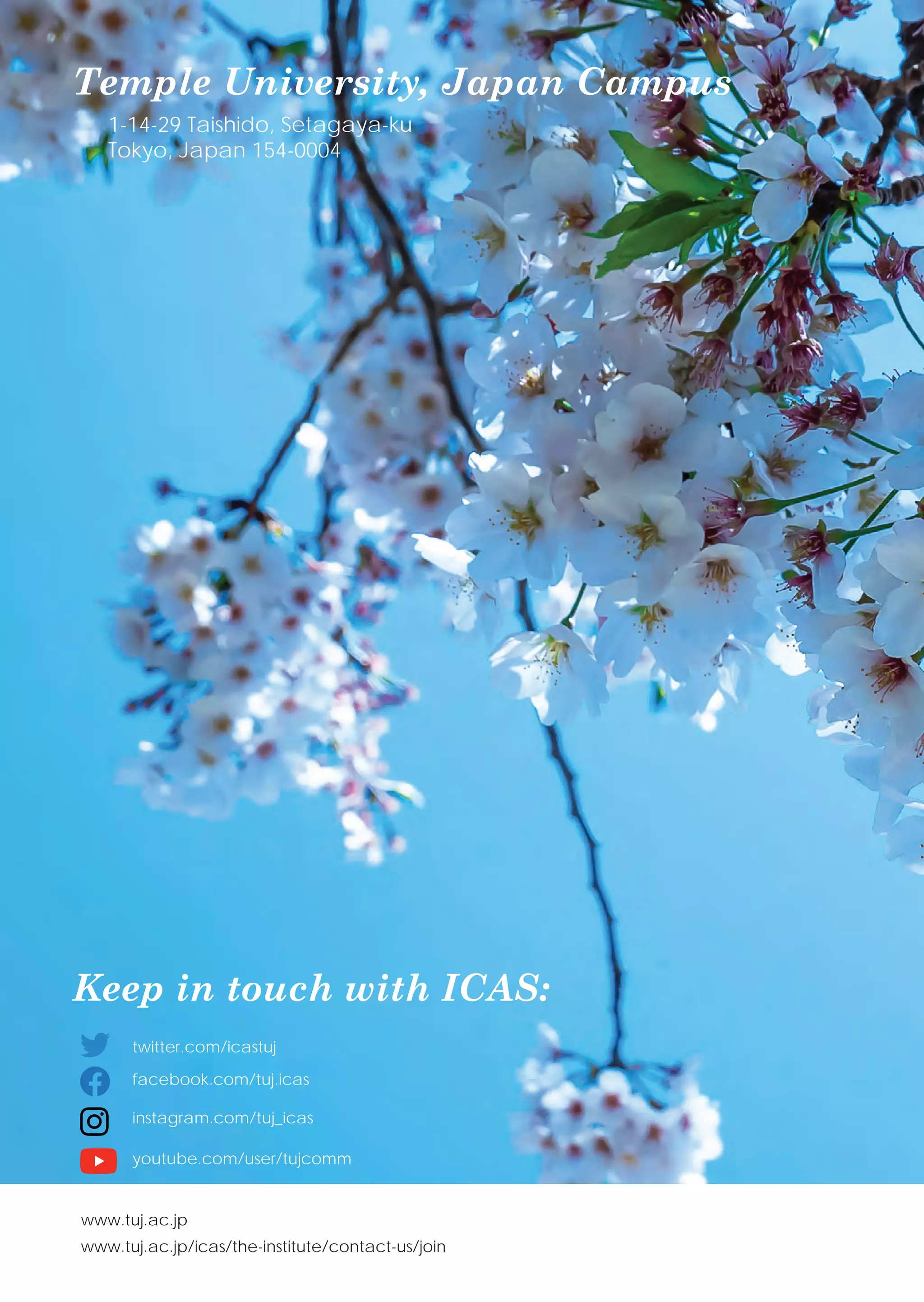 ICAS Program Book Vol. 3: Spring-Summer 2020 | PDF
