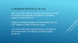 ICAT Technique in Proteomics | PPTX